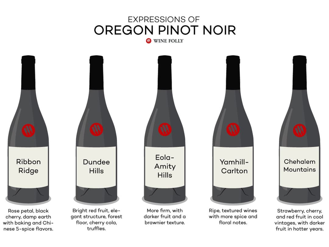 United States Wine Region | Wine Folly