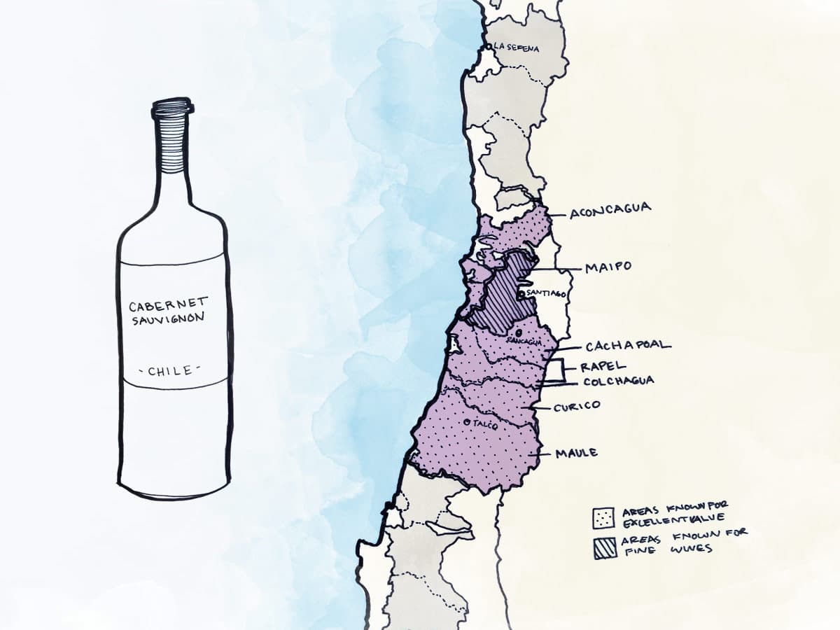 Chile Wine Region | Wine Folly