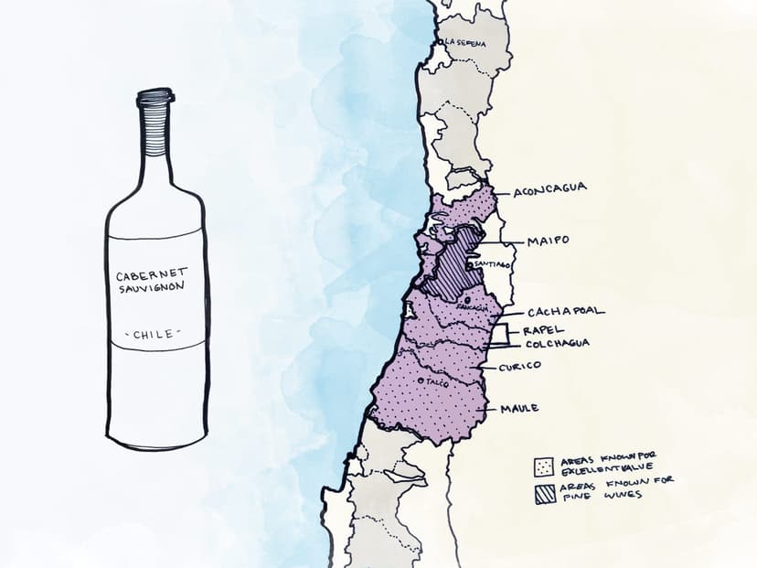 Chile Wine Region | Wine Folly