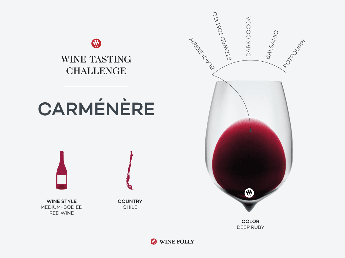 Chile Wine Region | Wine Folly